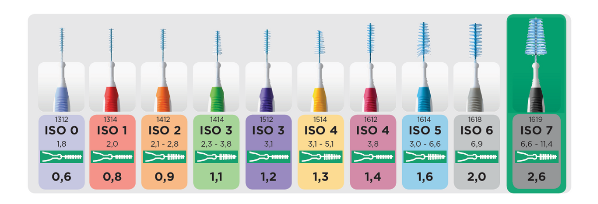 Welke ragers zijn het beste? Voor- en nadelen