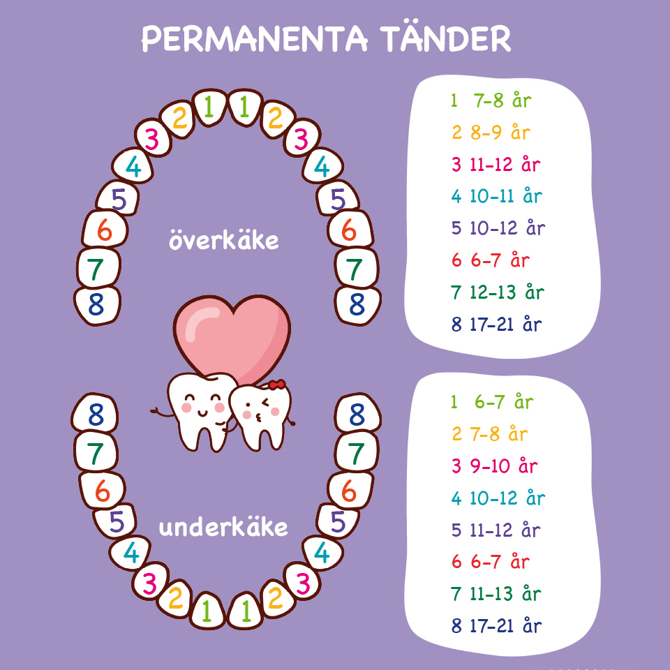 Borsta dina barns tänder